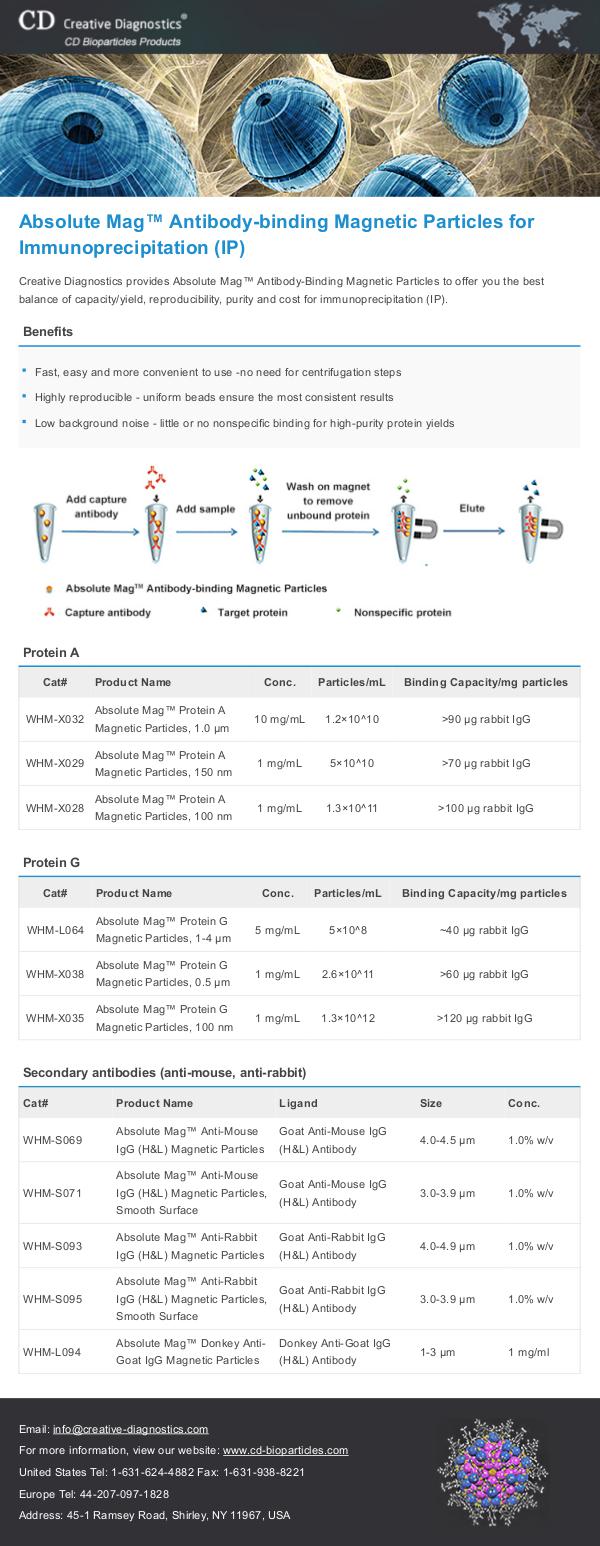 Absolute-Mag™-Antibody-binding-Magnetic-Particles-for-Immunoprecipita ...